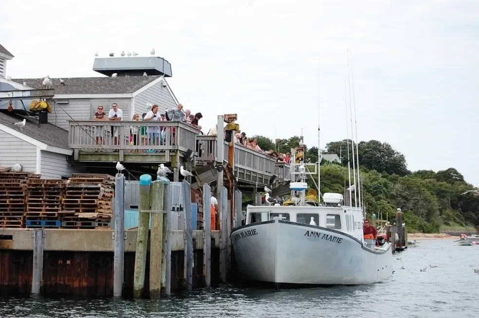 About Chatham Food Tours | Cape Cod’s Local Food Story
